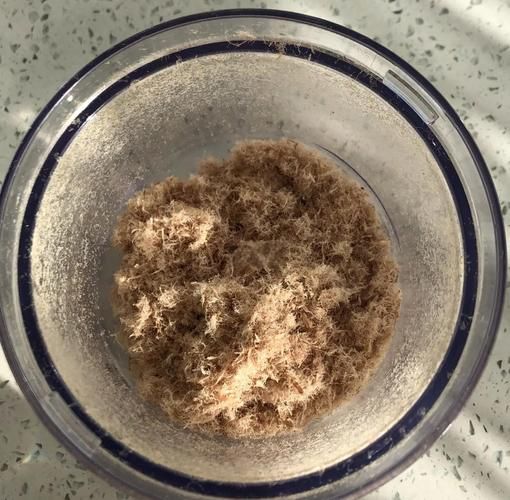 肉松洗了像棉花是真的吗_肉松遇水变棉絮真相-第1张图片-山城妙识