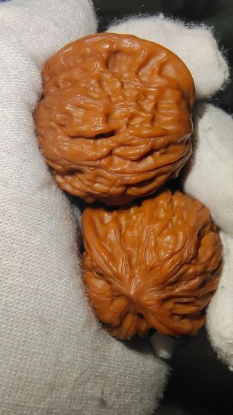 盘核桃的正确手法_盘核桃多久能包浆-第1张图片-山城妙识