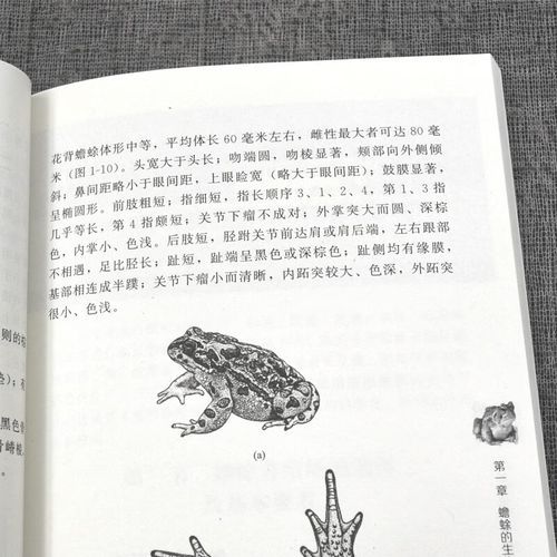 青蛙养殖国家禁止吗_青蛙养殖需要什么手续-第1张图片-山城妙识