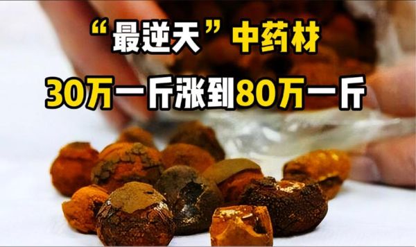 40万一斤的草药有哪些_为什么这么贵-第1张图片-山城妙识 40万一斤的草药有哪些_为什么这么贵-第1张图片-山城妙识