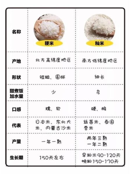 粳米是什么米_粳米和大米区别-第1张图片-山城妙识