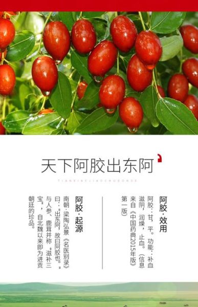 阿胶枣吃了有什么好处_阿胶枣适合什么人吃-第1张图片-山城妙识