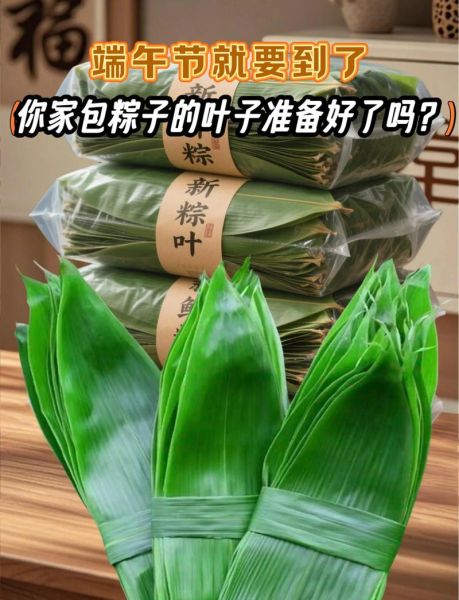 粽叶价格多少钱一斤_新鲜粽叶批发哪里便宜-第1张图片-山城妙识 粽叶价格多少钱一斤_新鲜粽叶批发哪里便宜-第1张图片-山城妙识
