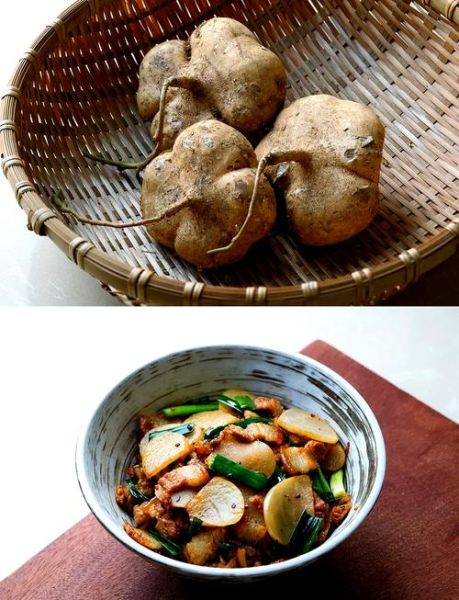 凉薯怎么做好吃_凉薯的做法大全最好吃-第1张图片-山城妙识