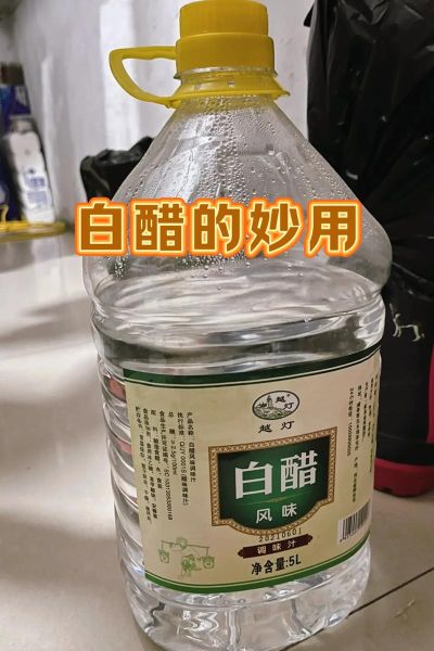 白醋减肥法有用吗_白醋减肥的正确方法-第2张图片-山城妙识