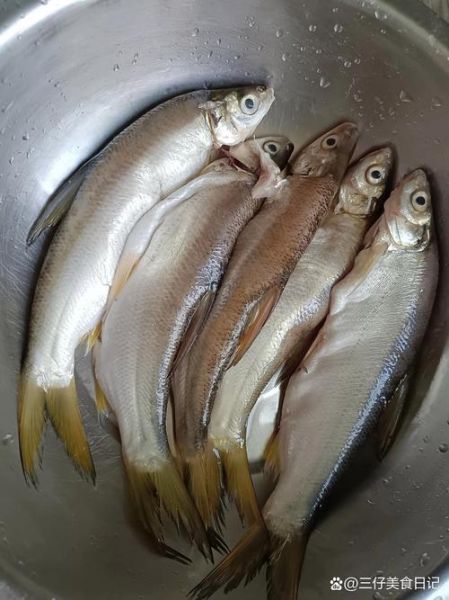 多鱼网巴巴鱼是什么_多鱼网巴巴鱼靠谱吗-第3张图片-山城妙识