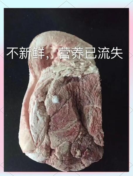 猪肉冻怎么做_猪肉冻怎么保存-第3张图片-山城妙识 猪肉冻怎么做_猪肉冻怎么保存-第3张图片-山城妙识