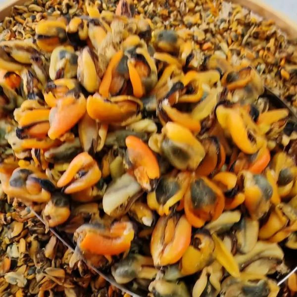 淡菜干怎么洗图解_淡菜干清洗的正确方法-第3张图片-山城妙识 淡菜干怎么洗图解_淡菜干清洗的正确方法-第3张图片-山城妙识