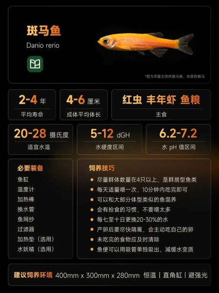 斑马鱼寿命有多长_斑马鱼寿命影响因素-第3张图片-山城妙识 斑马鱼寿命有多长_斑马鱼寿命影响因素-第3张图片-山城妙识