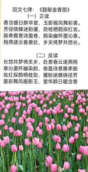 郁金香花语诗句有哪些_如何用它表达爱意-第3张图片-山城妙识 郁金香花语诗句有哪些_如何用它表达爱意-第3张图片-山城妙识