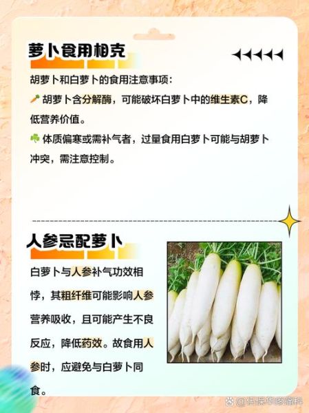 白萝卜不能和什么一起吃_香哈网常见禁忌-第2张图片-山城妙识 白萝卜不能和什么一起吃_香哈网常见禁忌-第2张图片-山城妙识