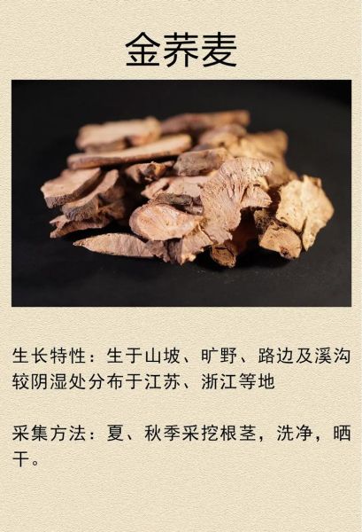 金荞麦片禁忌人群_金荞麦片不能和什么药同服-第2张图片-山城妙识 金荞麦片禁忌人群_金荞麦片不能和什么药同服-第2张图片-山城妙识