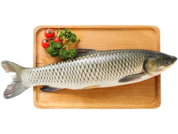 清炖草鱼的家常做法_清炖草鱼怎么做好吃-第1张图片-山城妙识 清炖草鱼的家常做法_清炖草鱼怎么做好吃-第1张图片-山城妙识