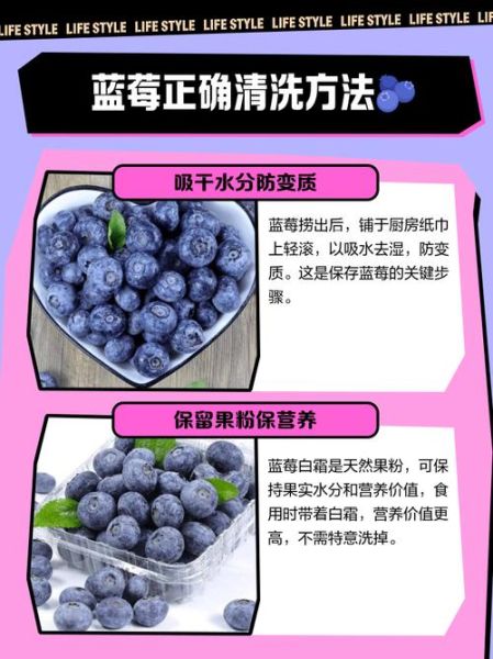 蓝莓怎么洗才干净_蓝莓带皮吃吗-第2张图片-山城妙识 蓝莓怎么洗才干净_蓝莓带皮吃吗-第2张图片-山城妙识