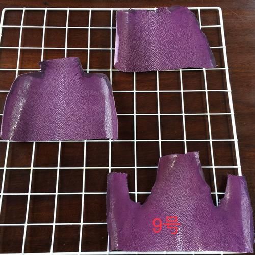 珍珠鱼怎么养_珍珠鱼饲养注意事项-第2张图片-山城妙识