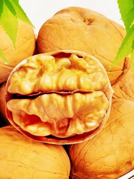 吃核桃补肾壮阳吗_核桃壮阳效果真相-第1张图片-山城妙识 吃核桃补肾壮阳吗_核桃壮阳效果真相-第1张图片-山城妙识