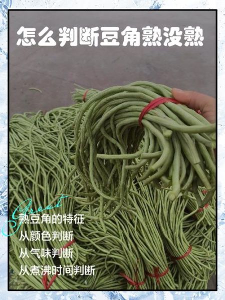 豆角有咯吱声是没熟吗_如何判断豆角是否熟透-第1张图片-山城妙识 豆角有咯吱声是没熟吗_如何判断豆角是否熟透-第1张图片-山城妙识