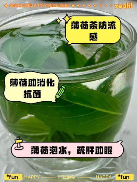 薄荷叶泡水有什么功效_薄荷叶泡水禁忌有哪些-第1张图片-山城妙识