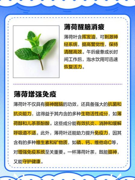 薄荷茶的功效与禁忌_孕妇能喝吗-第1张图片-山城妙识