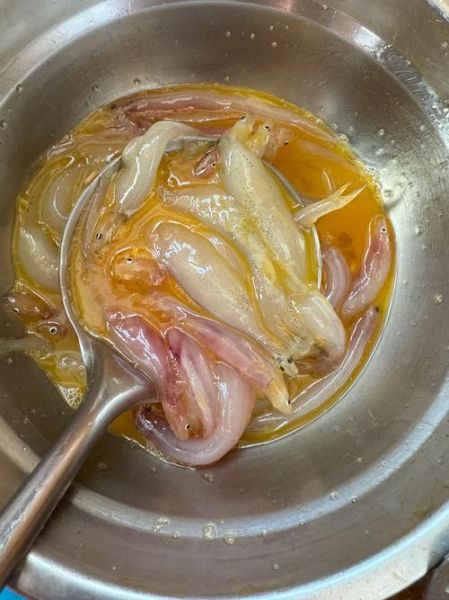 面条鱼是什么鱼_面条鱼产地在哪里-第1张图片-山城妙识