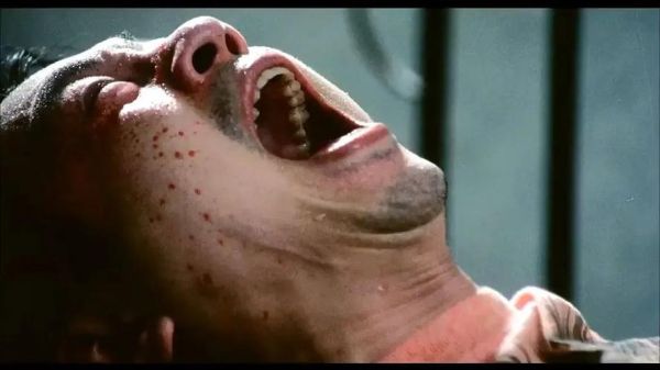 食人鸡是什么_食人鸡真的吃人吗-第1张图片-山城妙识 食人鸡是什么_食人鸡真的吃人吗-第1张图片-山城妙识