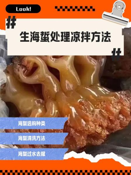 新鲜海蜇怎么处理_海蜇去毒去矾技巧-第2张图片-山城妙识 新鲜海蜇怎么处理_海蜇去毒去矾技巧-第2张图片-山城妙识