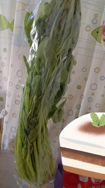 大米粥怎么熬粘稠_大米粥粘稠的秘诀-第1张图片-山城妙识 大米粥怎么熬粘稠_大米粥粘稠的秘诀-第1张图片-山城妙识