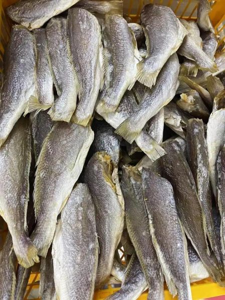 红杉鱼多少钱一斤_红杉鱼价格行情-第3张图片-山城妙识 红杉鱼多少钱一斤_红杉鱼价格行情-第3张图片-山城妙识