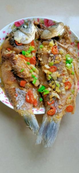 红烧鲫鱼怎么做才好吃_家常红烧鲫鱼做法-第2张图片-山城妙识 红烧鲫鱼怎么做才好吃_家常红烧鲫鱼做法-第2张图片-山城妙识