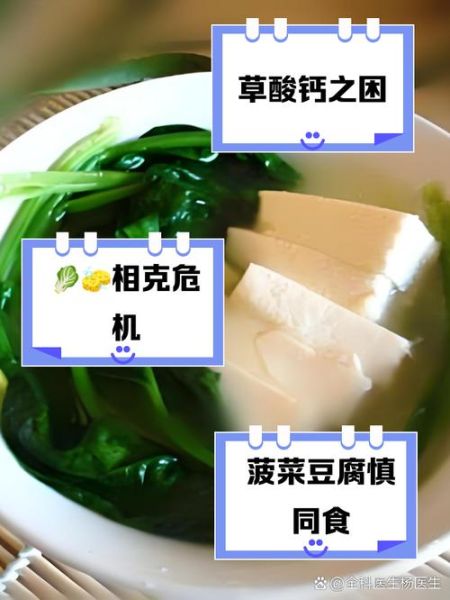 菠菜和豆腐可以一起吃吗_菠菜不能和什么同食-第2张图片-山城妙识