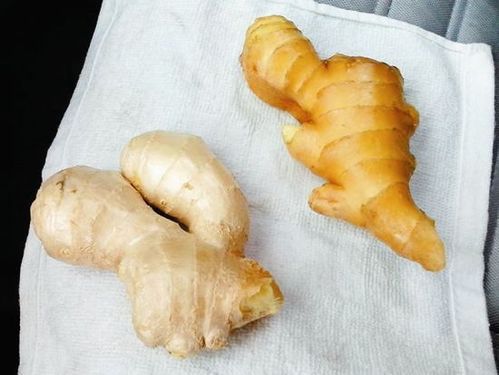 毒生姜处罚标准_如何维权索赔-第1张图片-山城妙识 毒生姜处罚标准_如何维权索赔-第1张图片-山城妙识