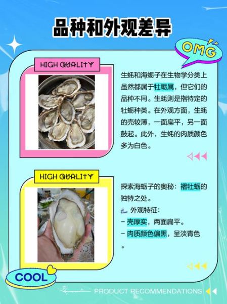 牡蛎和生蚝的外观区别图片_怎么区分-第1张图片-山城妙识 牡蛎和生蚝的外观区别图片_怎么区分-第1张图片-山城妙识