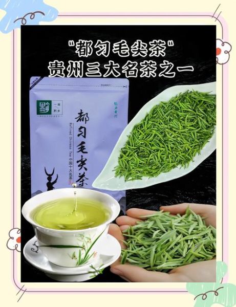 都匀毛尖茶多少钱一斤_都匀毛尖茶价格表2024-第1张图片-山城妙识 都匀毛尖茶多少钱一斤_都匀毛尖茶价格表2024-第1张图片-山城妙识