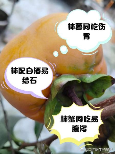 柿子不能和什么一起吃_吃柿子后多久能喝酒-第2张图片-山城妙识 柿子不能和什么一起吃_吃柿子后多久能喝酒-第2张图片-山城妙识