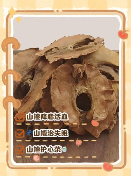 分心木的功效与作用_分心木怎么泡水喝-第2张图片-山城妙识 分心木的功效与作用_分心木怎么泡水喝-第2张图片-山城妙识