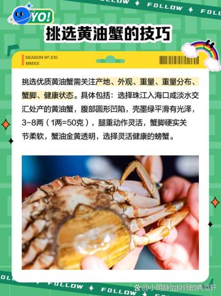 黄油蟹养殖技术_黄油蟹怎么养-第1张图片-山城妙识 黄油蟹养殖技术_黄油蟹怎么养-第1张图片-山城妙识