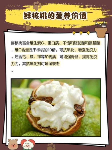 鲜核桃的功效与作用_鲜核桃怎么吃最营养-第1张图片-山城妙识
