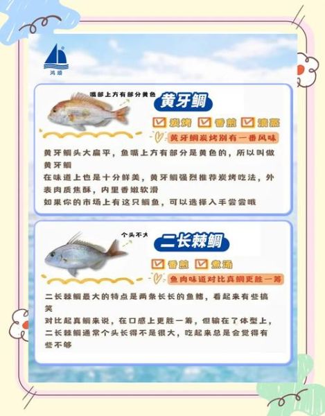 鲷鱼和巴沙鱼哪个好_口感营养价格全面对比-第3张图片-山城妙识