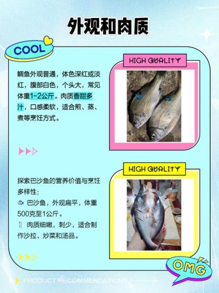 鲷鱼和巴沙鱼哪个好_口感营养价格全面对比-第1张图片-山城妙识