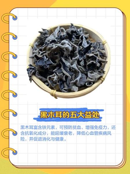 黑木耳是什么意思_黑木耳的多种含义解析-第3张图片-山城妙识