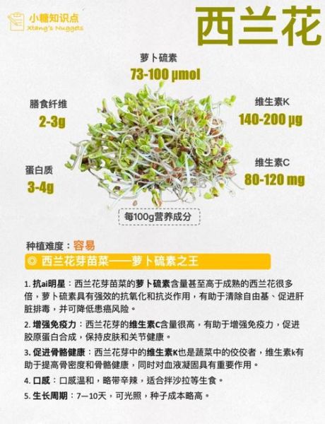 芽苗菜为什么不好卖_芽苗菜卖不出去的原因-第1张图片-山城妙识
