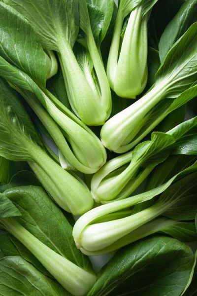 菜苔是什么菜_菜苔和油菜苔的区别-第3张图片-山城妙识 菜苔是什么菜_菜苔和油菜苔的区别-第3张图片-山城妙识