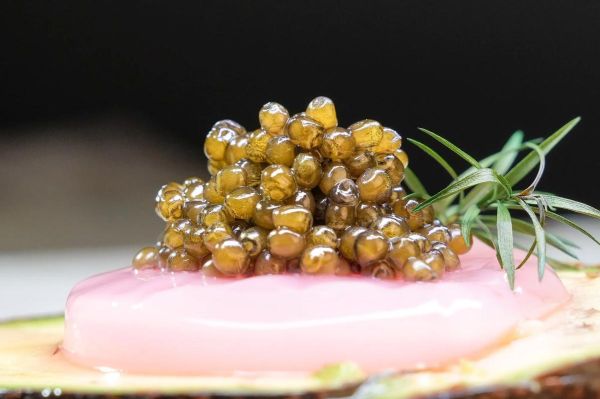 鲟鱼鱼子酱的功效与作用_适合什么人吃-第3张图片-山城妙识 鲟鱼鱼子酱的功效与作用_适合什么人吃-第3张图片-山城妙识