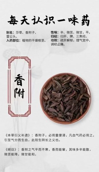 香付的功效与作用_香付主治哪些疾病-第1张图片-山城妙识