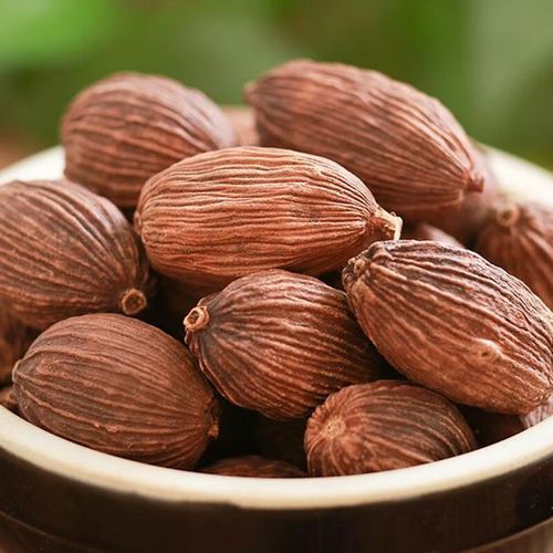 草果和肉蔻的区别_哪个更适合炖肉-第2张图片-山城妙识 草果和肉蔻的区别_哪个更适合炖肉-第2张图片-山城妙识