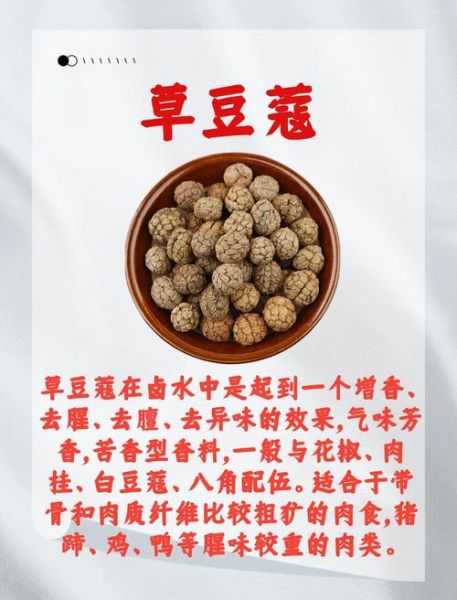 草果和肉蔻的区别_哪个更适合炖肉-第1张图片-山城妙识 草果和肉蔻的区别_哪个更适合炖肉-第1张图片-山城妙识