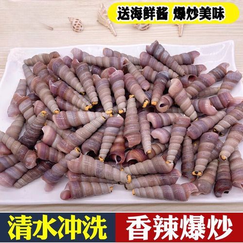 锥螺和钉螺的区别_锥螺和钉螺哪个有毒-第1张图片-山城妙识 锥螺和钉螺的区别_锥螺和钉螺哪个有毒-第1张图片-山城妙识