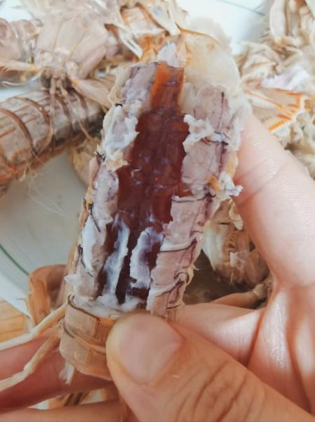 皮皮虾图片大全_哪里能免费下载高清皮皮虾图-第3张图片-山城妙识 皮皮虾图片大全_哪里能免费下载高清皮皮虾图-第3张图片-山城妙识