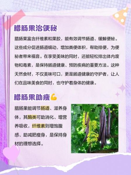 腊肠果的功效与副作用_腊肠果能减肥吗-第1张图片-山城妙识