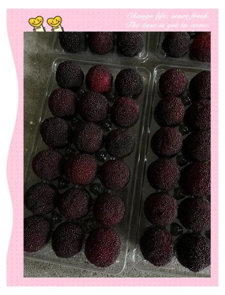 杨梅冷冻好还是冷藏好_保存多久不变质-第1张图片-山城妙识 杨梅冷冻好还是冷藏好_保存多久不变质-第1张图片-山城妙识